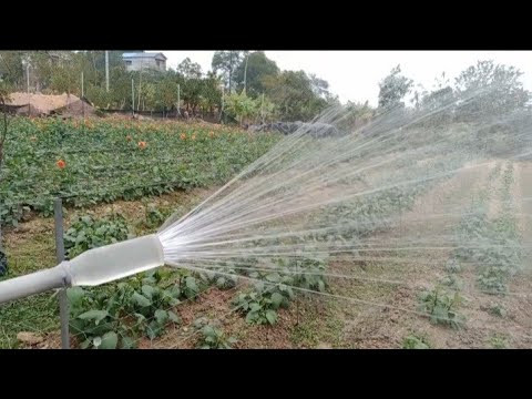 The simplest DIY rain nozzle from plastic bottles - YouTube