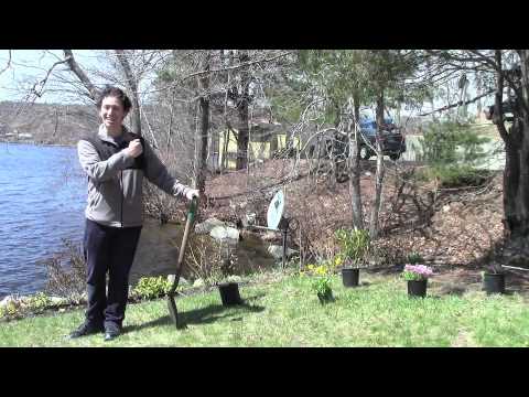 Planting a Vegetative Buffer Strip - YouTube