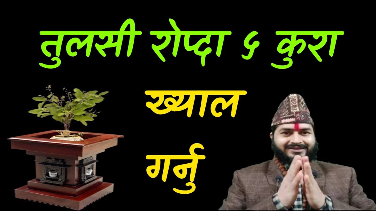 तुलसी रोप्दा ५ कुरा ख्याल गर्नु ||Tulsi Ropne Din | harishayani ...