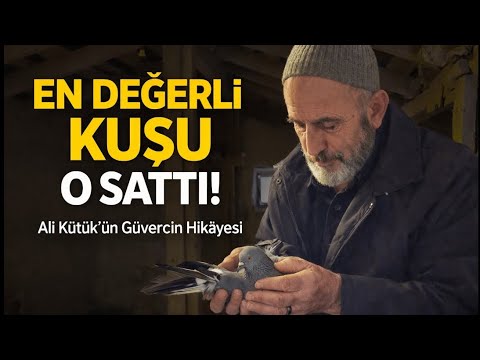 Zamanında En Pahalı Kuşu Satan Güvercincinin Hikâyesi