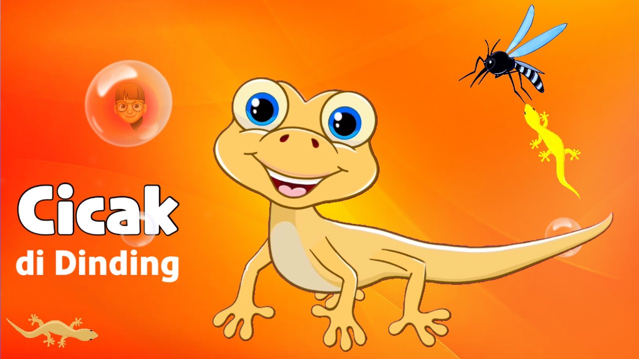 CICAK Cicak di Dinding | Lagu Cicak Cicak di dinding | Lagu anak anak ...
