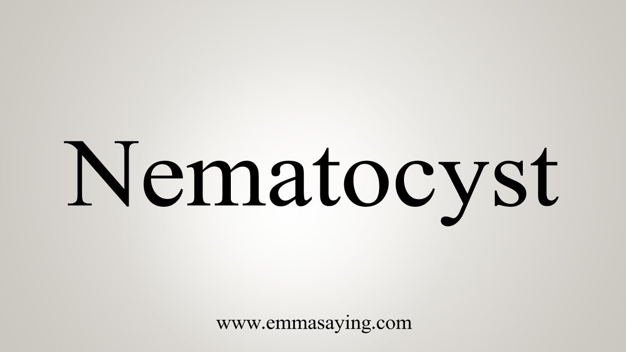 How To Say Nematocyst - YouTube
