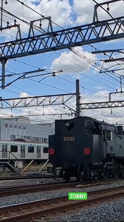 C11 123が南栗橋へやって来た!! - YouTube