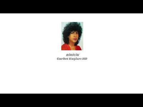 BİRİCİK Gurbet Kuşları HD