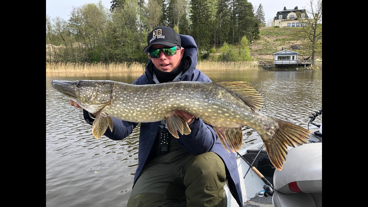 VISSEN OP SNOEK IN ZWEDEN... - YouTube