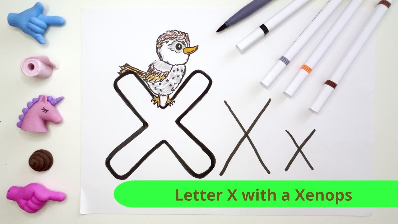 Learn to Draw the Letter X with a Xenops Fun Alphabet Drawing for Kids ...