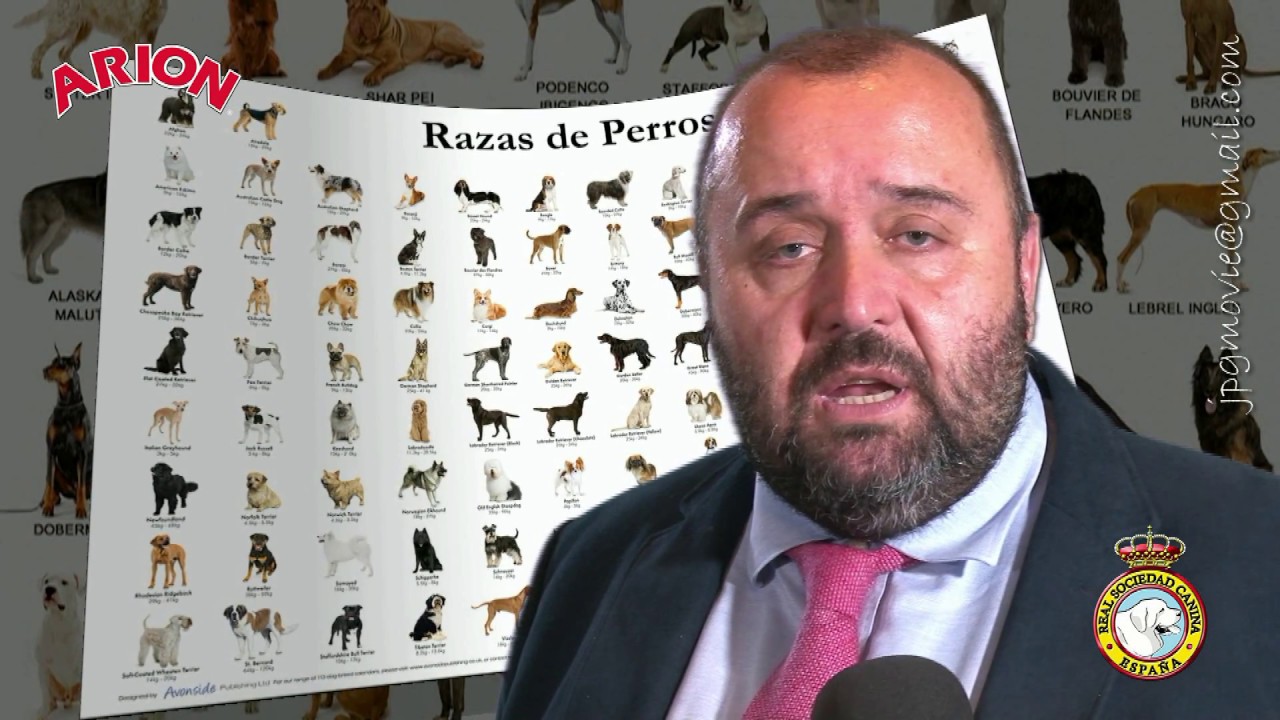 Genética y cría selectiva "ESTRATEGIA DE CRUCES" - YouTube