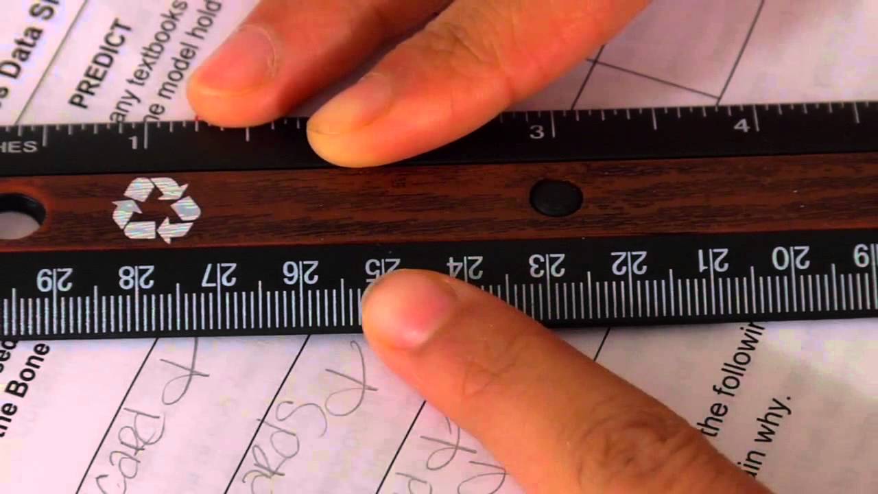 Living Bones, Strong Bones - YouTube