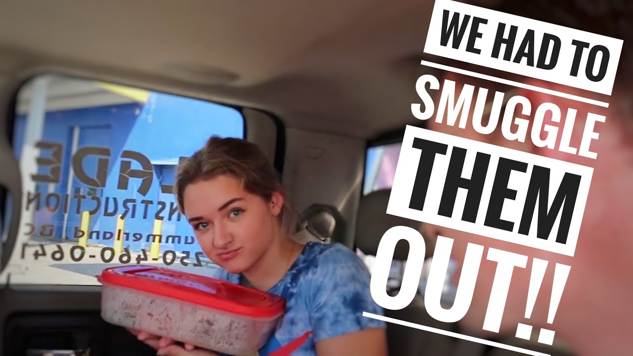 WE HAD TO SMUGGLE THEM OUT! | Vlog 006 - YouTube