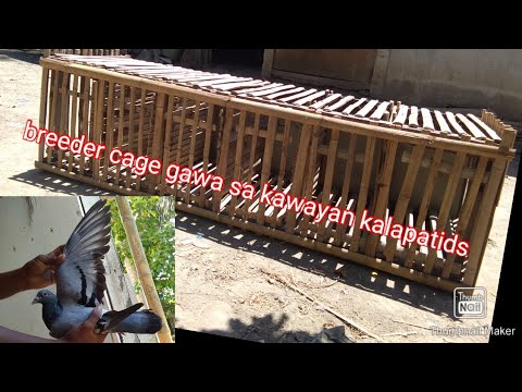Breeder cage kalapakpak gawa sa kawayan | kalapatids - YouTube