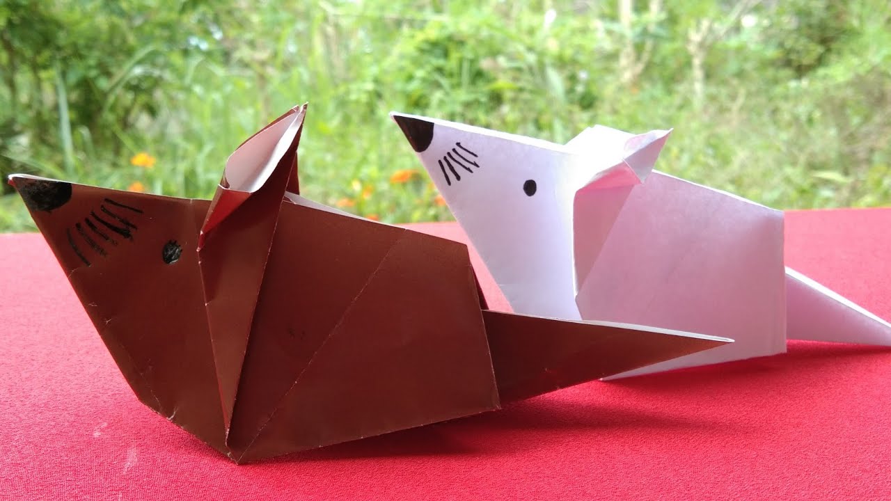 Gampang!! Cara Membuat Tikus Dari Kertas Origami - YouTube