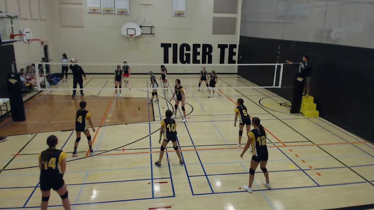 Volleyball Live Stream - YouTube