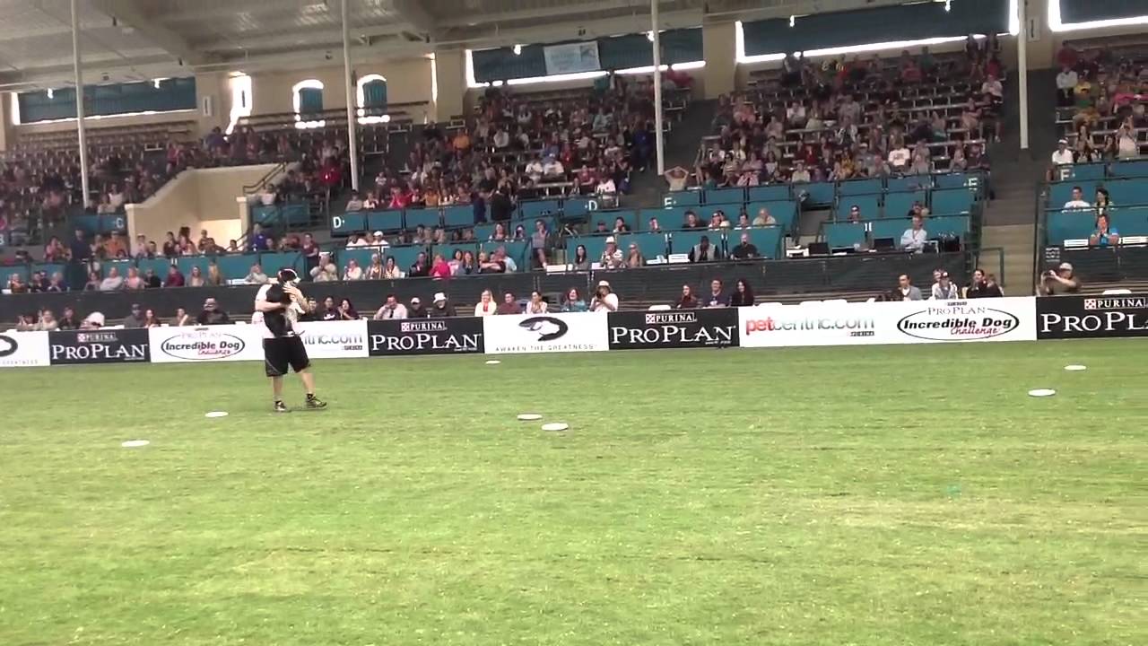 Jeff and Enzo IDC 2012 - YouTube