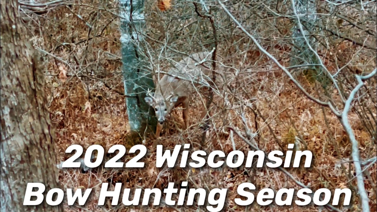 Wisconsin 2022 Bow Hunting! Big Bucks! - YouTube