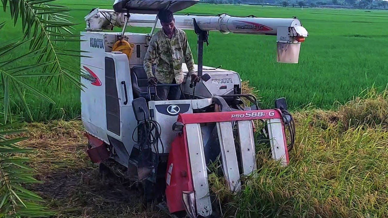 Harvester Chaina machine || মাত্র ১০-১৫ মিনিটে বিঘা প্রতি ধান কাটা দেখুন!! - YouTube