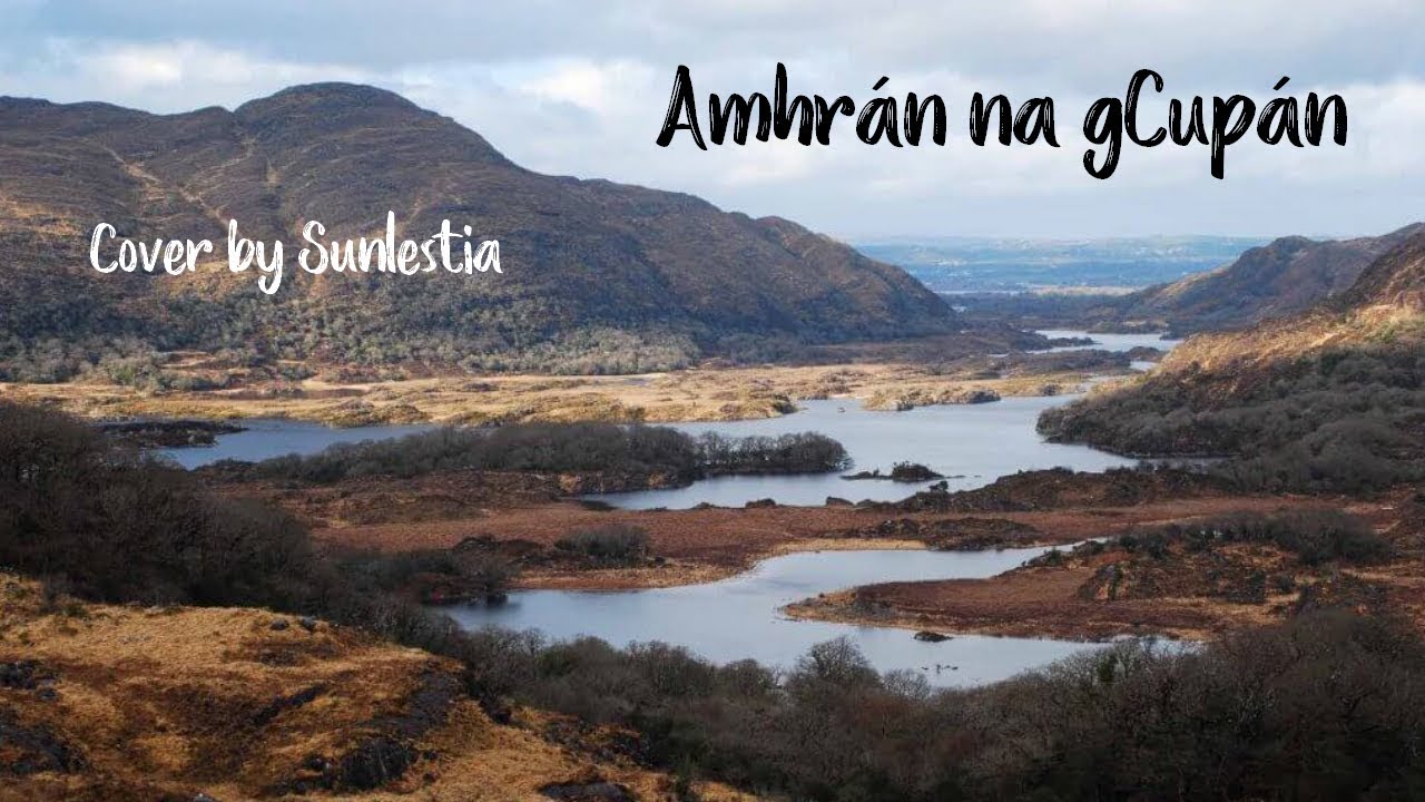 Amhrán na gCupán - Cover by Sunlestia (Irish Cups Song) - YouTube