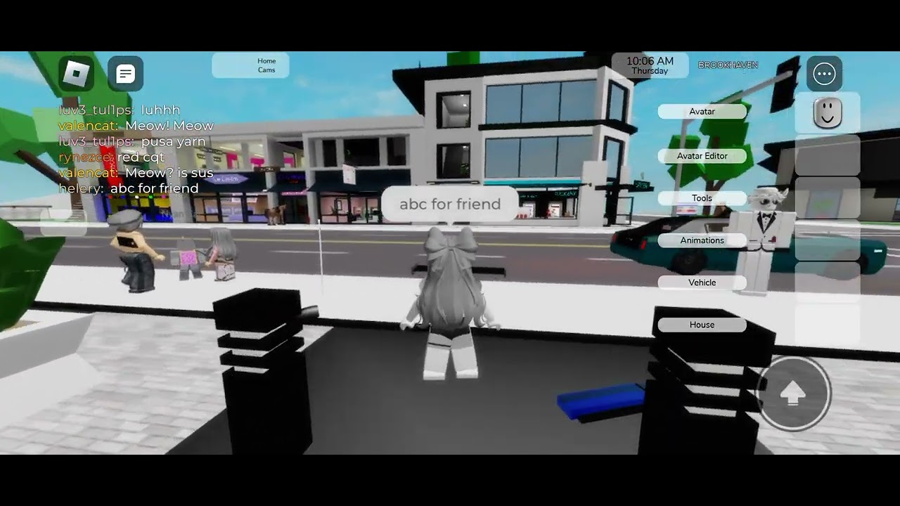 playing a Brookhaven in roblox - YouTube