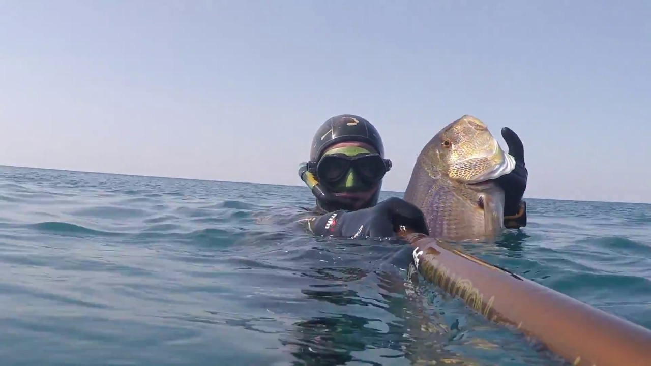 Dentice / Dentex / Red Snapper primaverile ... 4.7Kg - YouTube