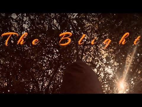 Dead by Daylight - Official Film (The Blight) - YouTube