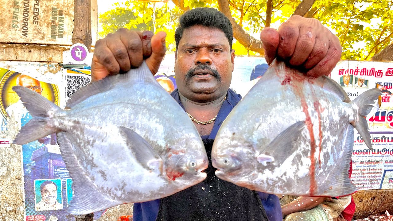 SPEED SELVAM 💥VERY RARE WHITE VAVAAL FISH CUTTING VIDEO | KASIMEDU ...