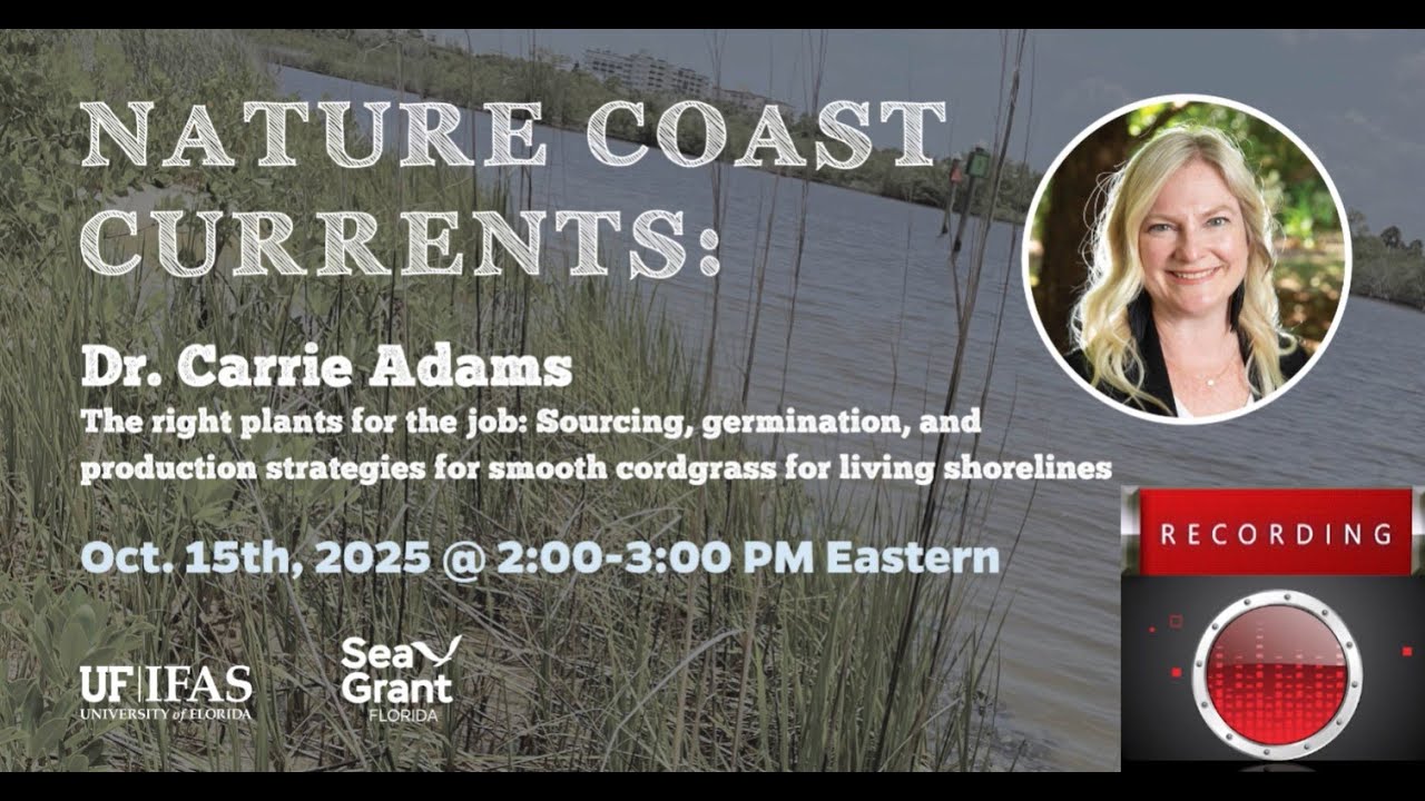 The right plants for the job: Working with smooth cordgrass for living ...