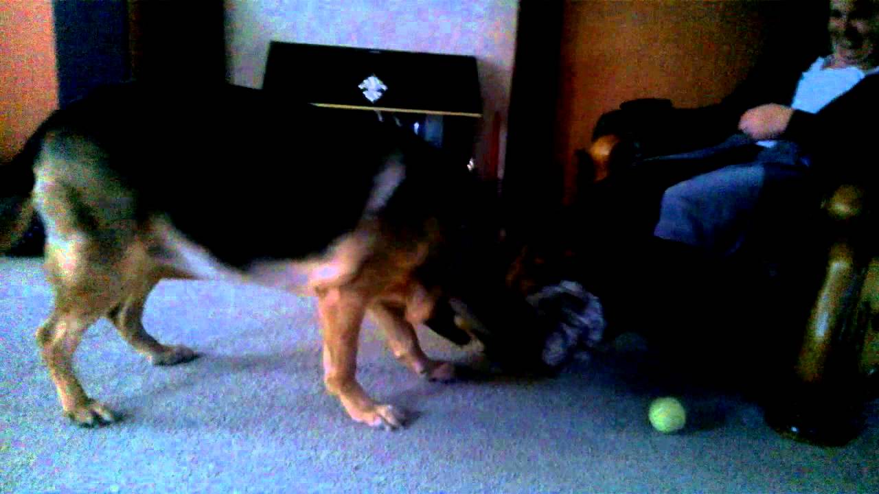 Toyah Playing With My Mums Feet Aha Youtube