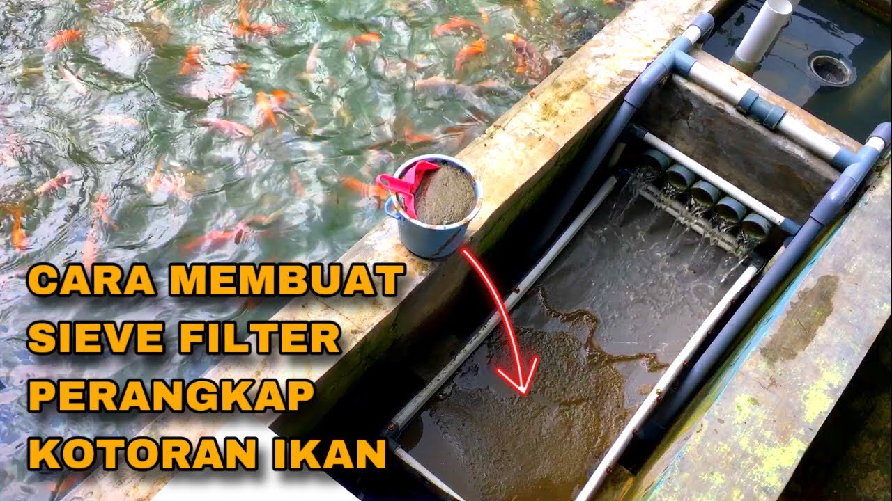 CARA MEMBUAT SIEVE FILTER PERANGKAP KOTORAN IKAN - BUDIDAYA IKAN NILA ...