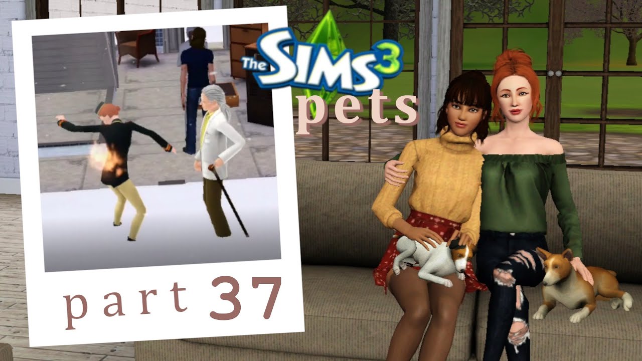 HOW did this happen? | The Sims 3 Pets - Part 37 - YouTube