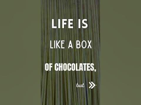 Life Is Like a Box of Chocolates - YouTube