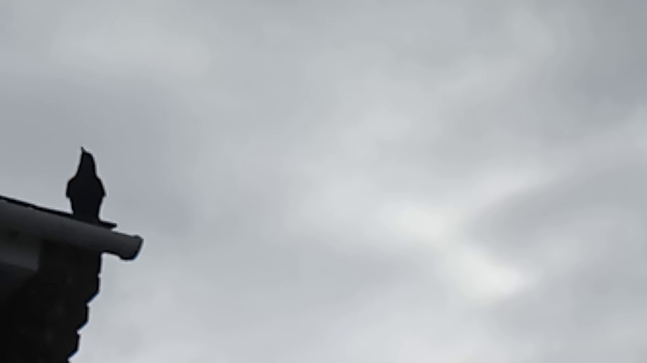 Nope, not allowed to clear, thick gray shit. 19.03.2019 - YouTube