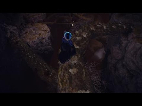 Elden Ring - How to reach Deeproot Depths from Mohg's boss room - YouTube