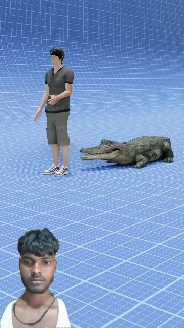 how to escape an alligator death roll,alligator,alligator death roll ...