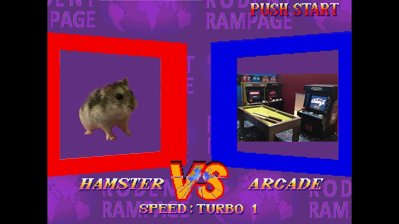 HAMSTER VS TINY ARCADE Episode 1 of Rodent Rampage - YouTube