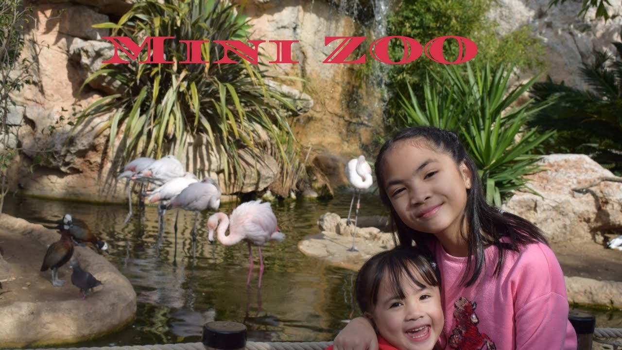 At Monaco mini ZOO - YouTube