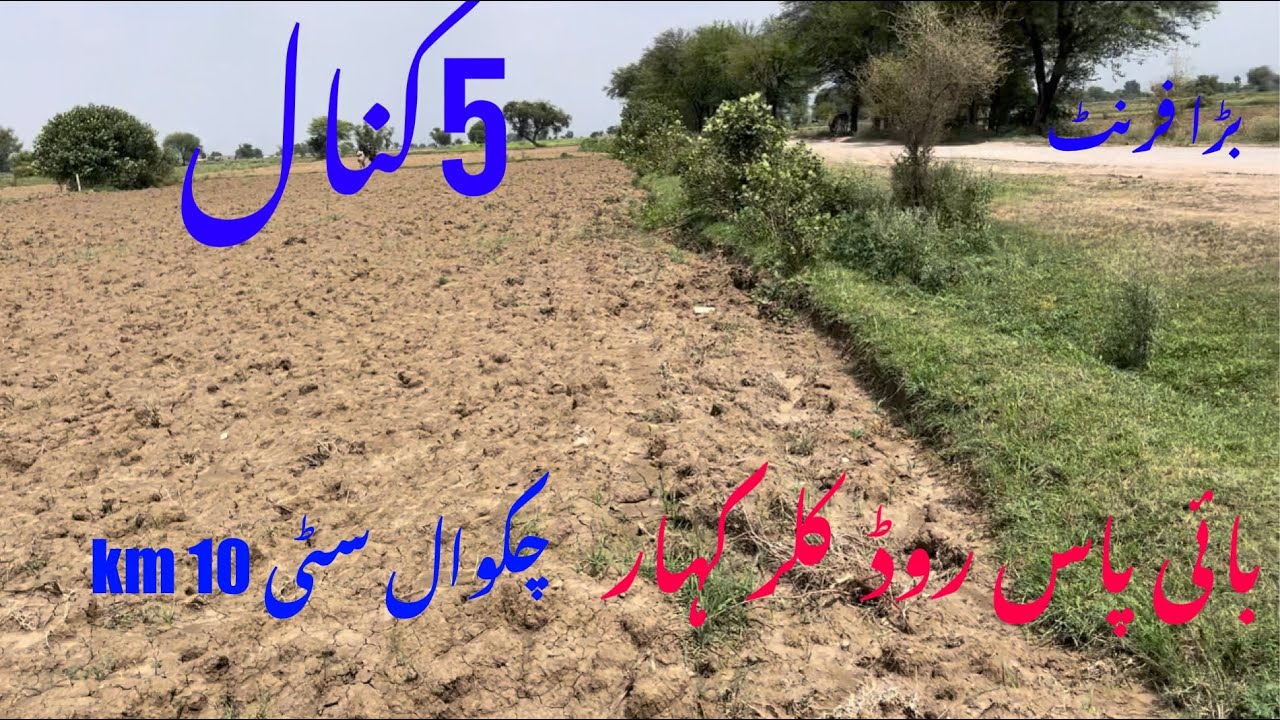 Land for sale in pakistan agriculture land for sale in punjab pakistan ...