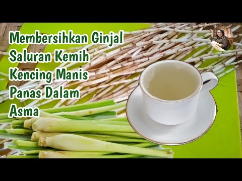 MANFAAT AKAR ALANG ALANG DAN SERAI UNTUK KESEHATAN - YouTube
