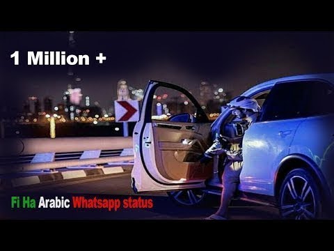 Arabic song FI Ha\\\\Whatsapp status Video\\\\Tecknical INFO