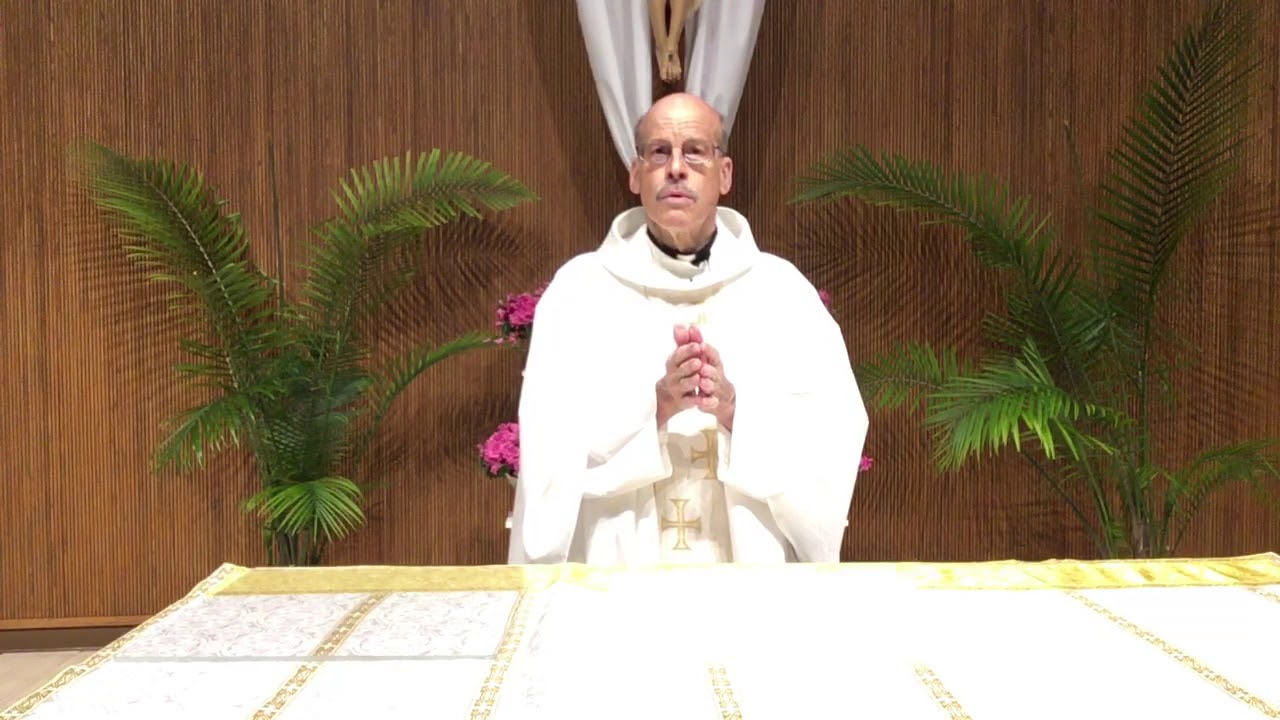 Fr Neil Homily 5 17 20 - YouTube