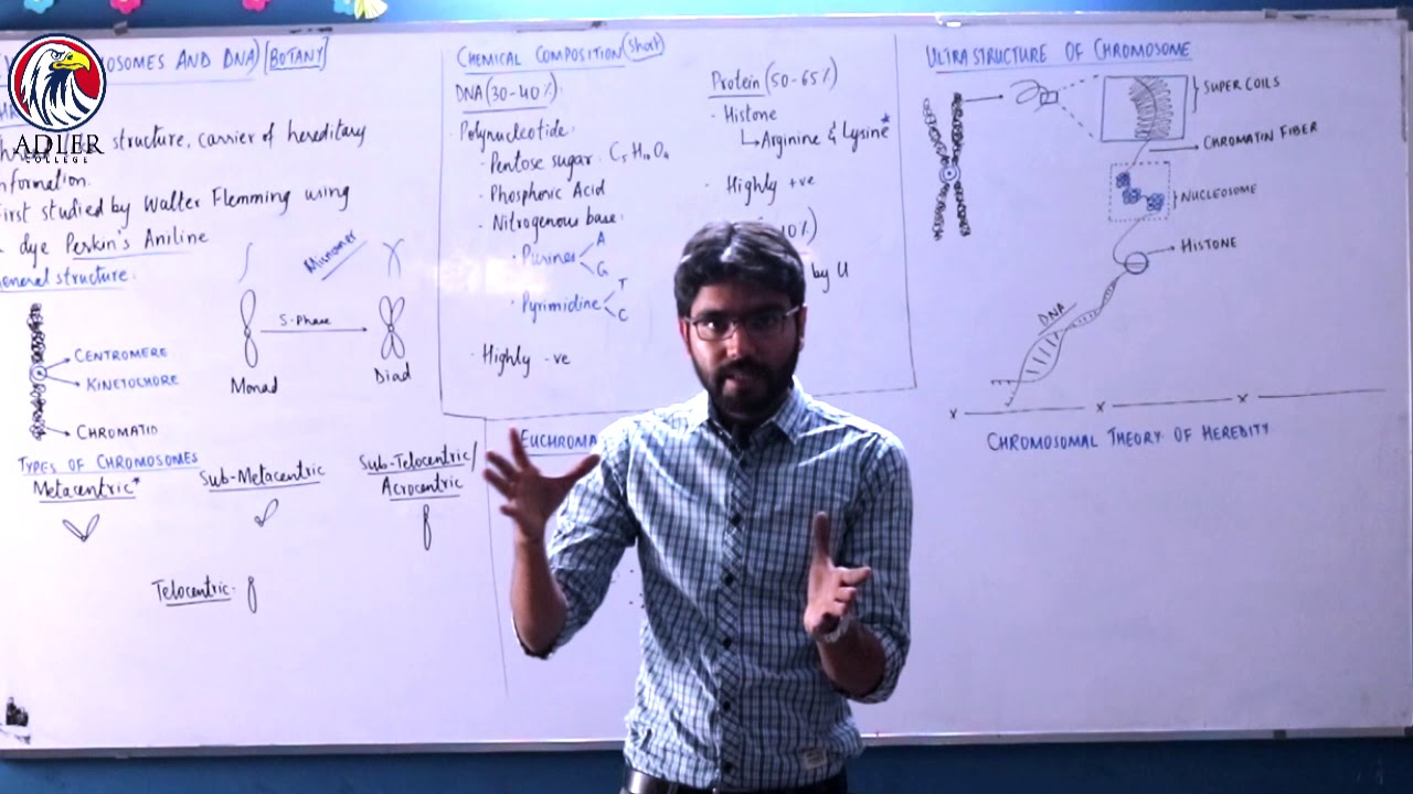 CHROMOSOMES AND DNA | Intermediate Zoology | Maroof Rizvi | Adler ...