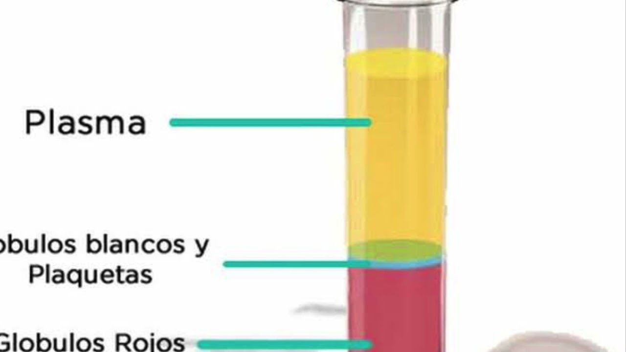 COMPONENTES DEL PLASMA FRESCO CONGELADO, CRIOPRECIPITADO Y VIDA MEDIA ...