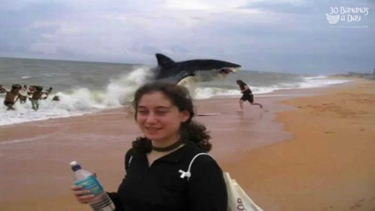 German Backpacker Shark Attack On Australian Beach : real or fake ...