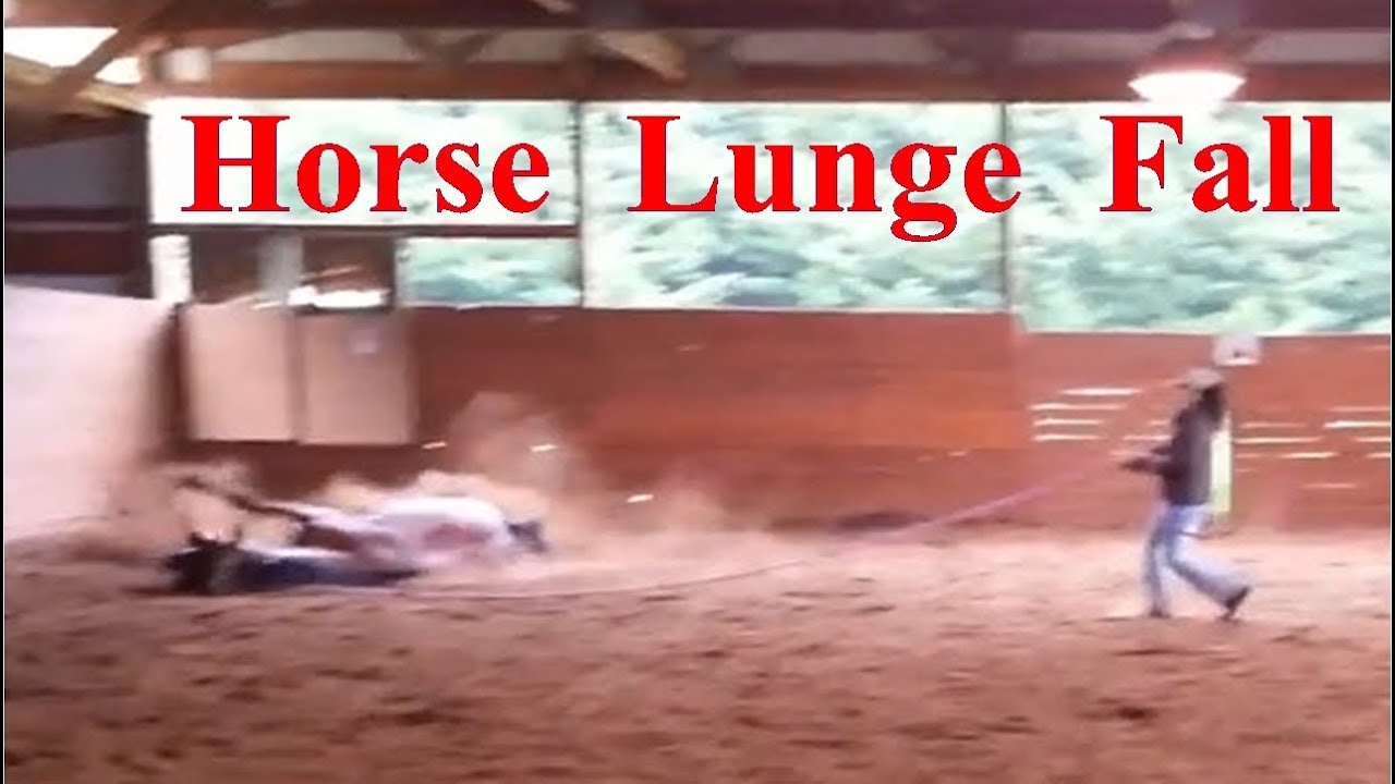 Our Horse Took A Fall Today For The First Time Ever And I Just Happened our-horse-took-a-fall-today-for-the-first-time-ever-and-i-just-happened