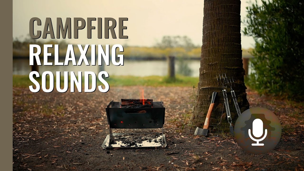 Fire Sounds to Relax, Australian Bush Campfire Sounds and Birds for ...