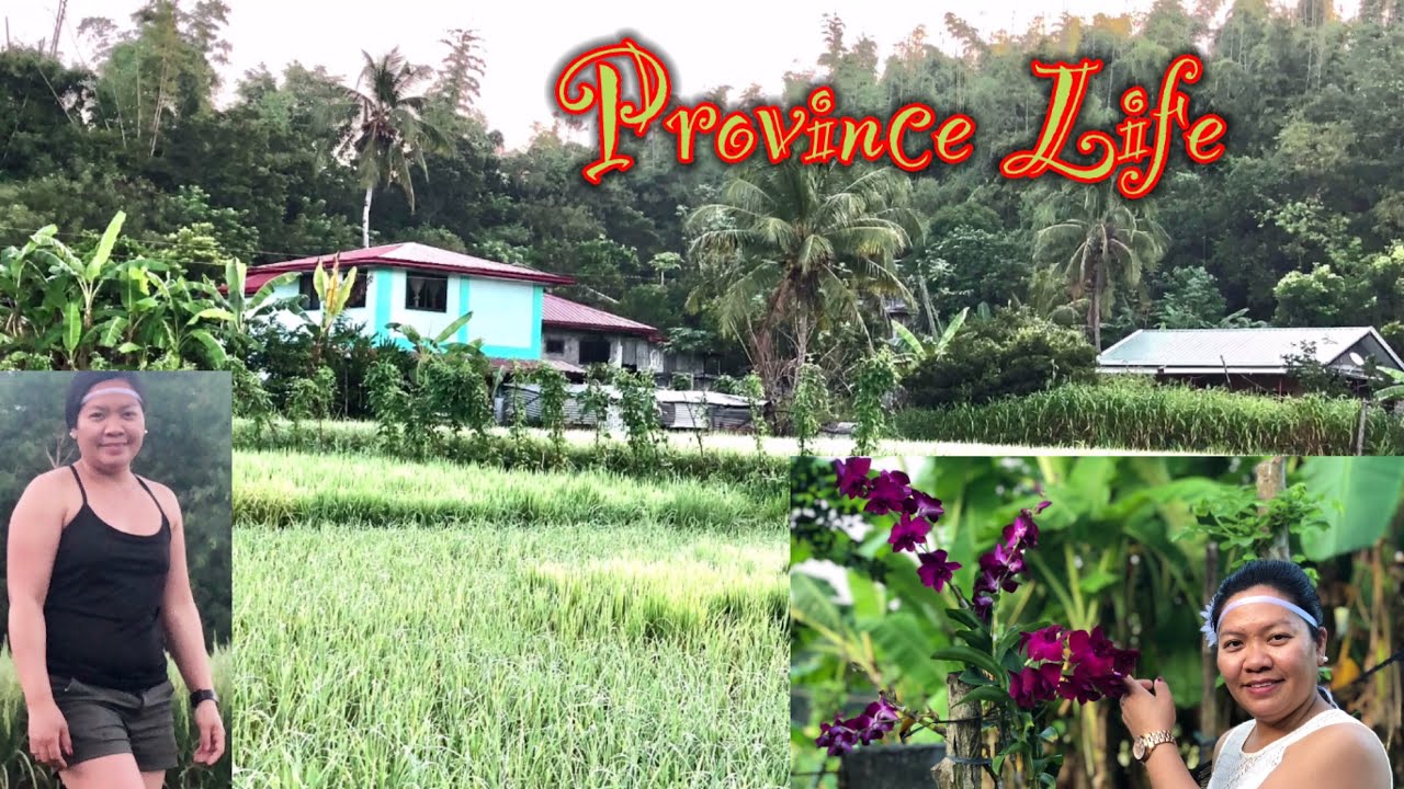 LIFE IN THE PROVINCE (BUHAY PROBINSYA) - YouTube