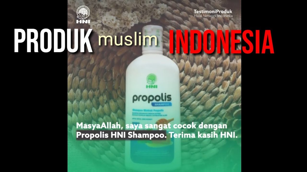 SAMPO PROPOLIS HNI HPAI BERLUALITAS TINGGI - YouTube