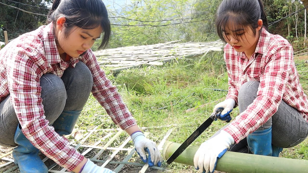 a new day on the plateau, build a gourd rig of bamboo. drying corn in ...