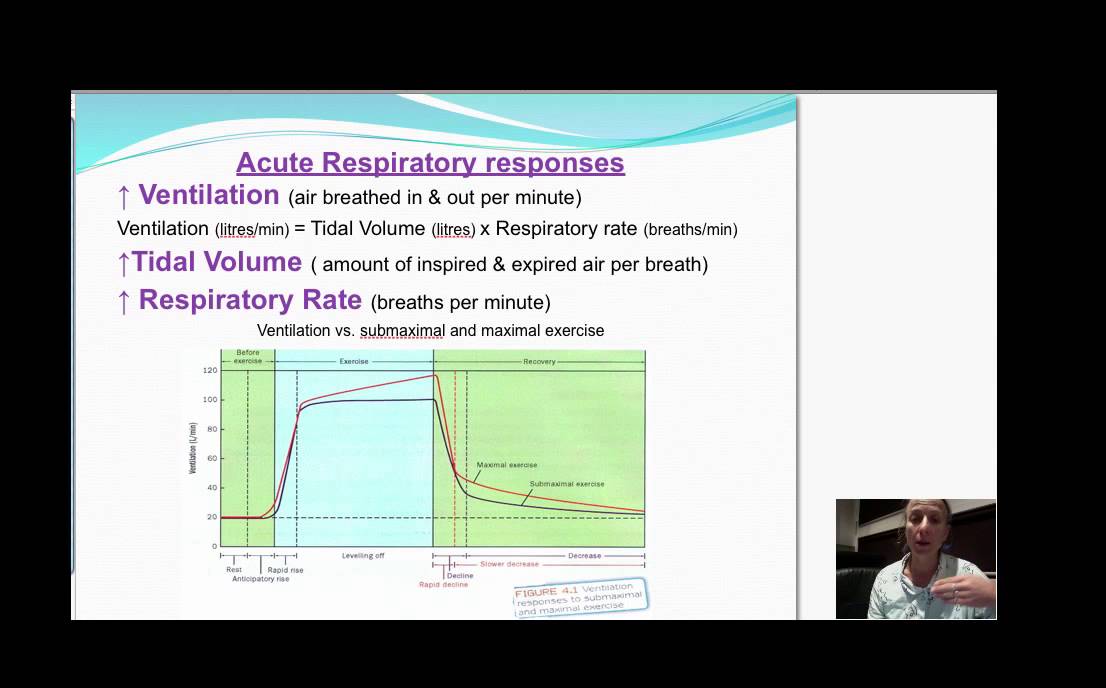 Acute Responses respiratory - YouTube
