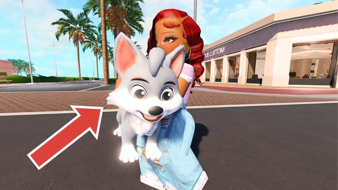I ADOPTED A PET!! 🐶 | Roblox Dubai RP - YouTube