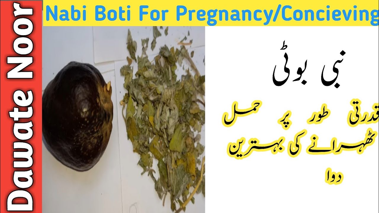 How To Use Nabi Boti To Concieve|Nabi Boti Vs Maryam Boti |Hamal Ki ...