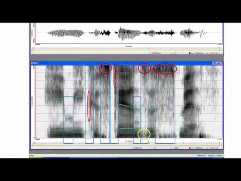 Step by step through a spectrogram - YouTube